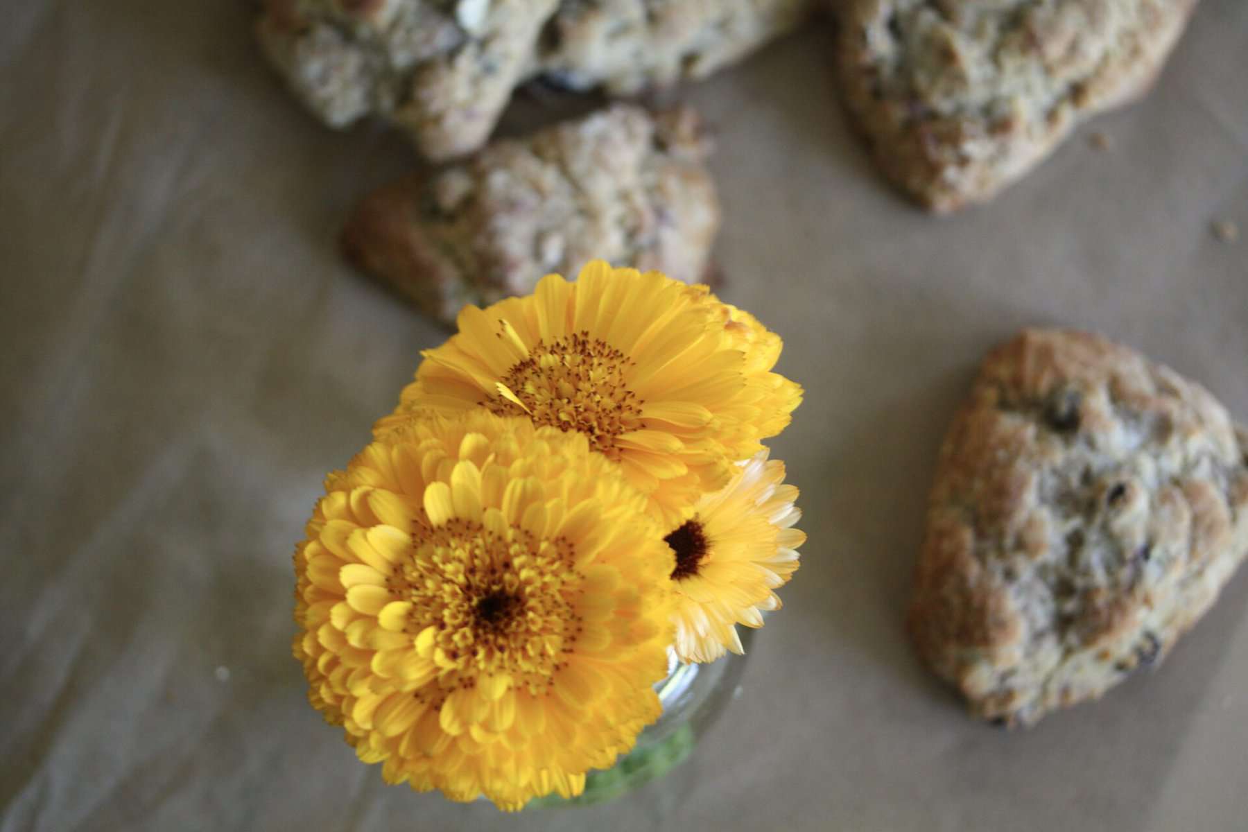 Gluten-Free Berry Buckwheat Scones | Cucina Nicolina