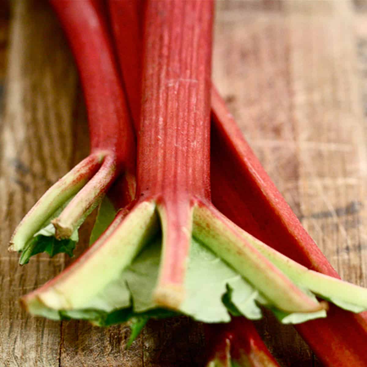 Easy Rhubarb Recipes | Cucina Nicolina
